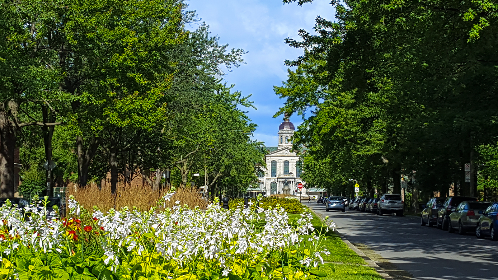 La cité de Maisonneuve au patrimoine du Québec - ProposMontréal